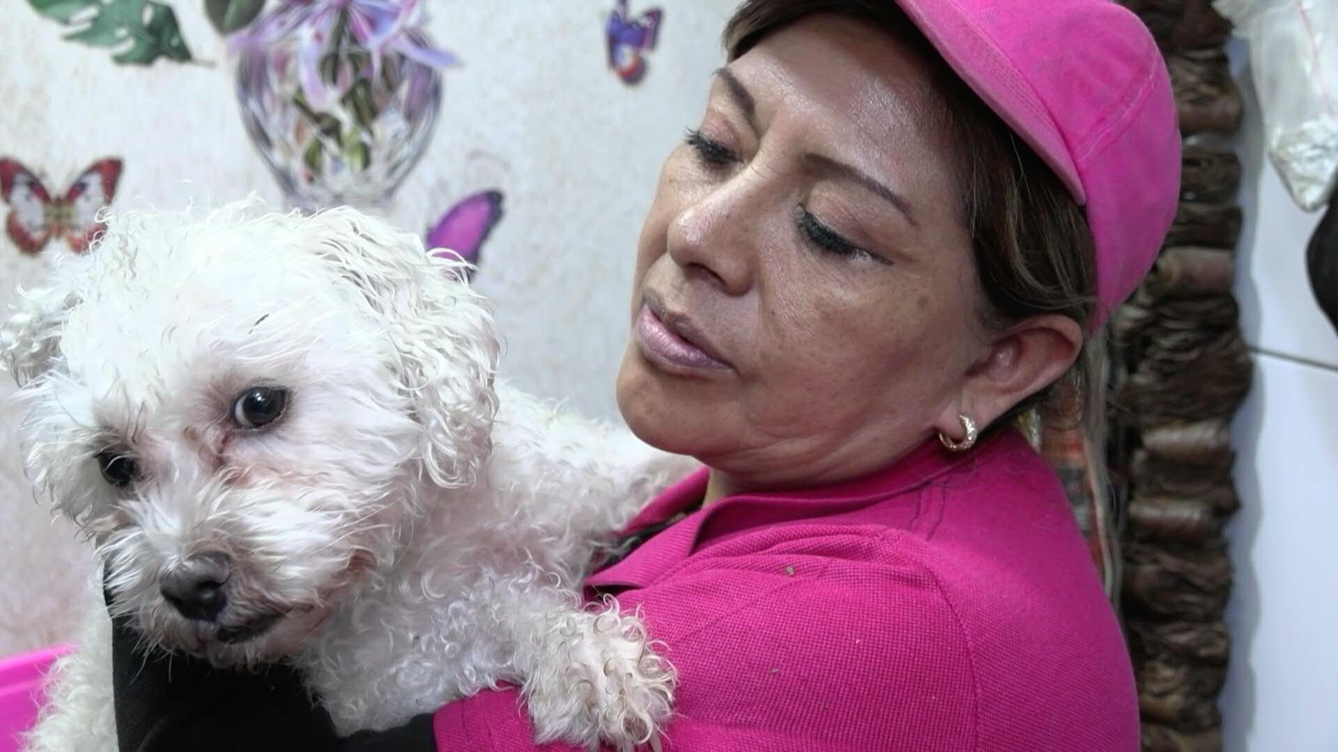 Traditional healers cleanse the chakras of pets in Ecuador