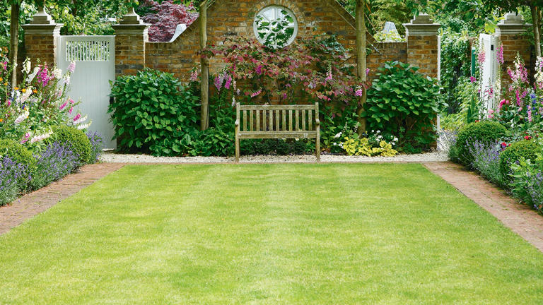The genius tip all dog owners need for fixing pesky yellow lawn patches ...
