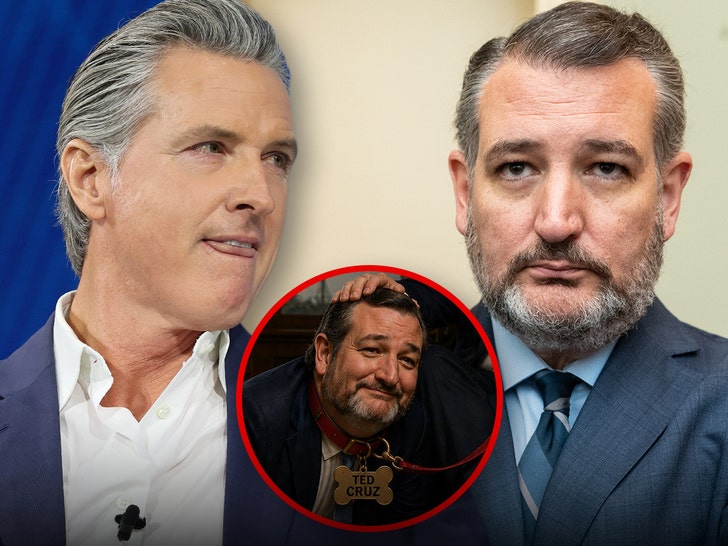 Gavin Newsom mocks 'good boy' Ted Cruz with AI photo of senator as dog