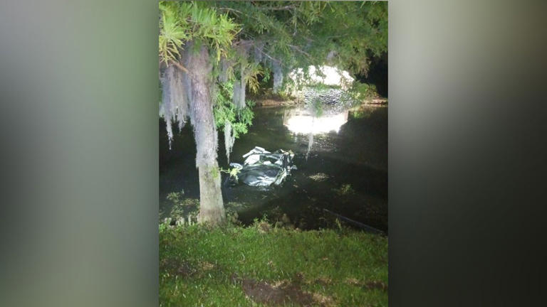 Tesla in autopilot mode sinks in pond after striking electrical box ...