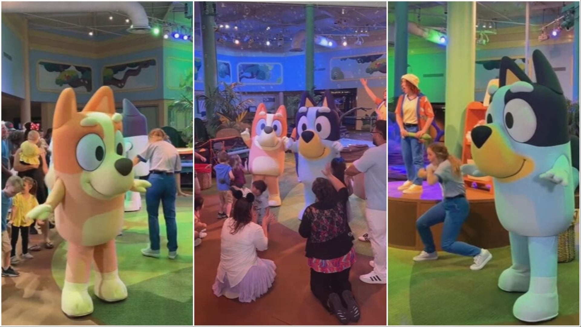 Bluey’s wild world opens at Disney’s Animal Kingdom