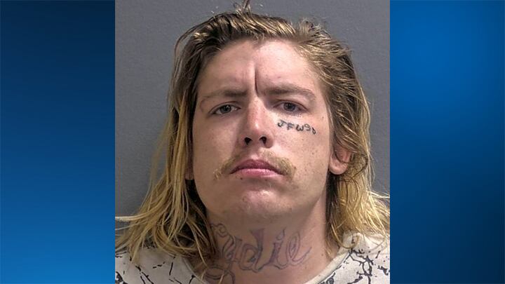 'Sick of it' - Sioux City man accused of throwing girlfriend’s dog from ...