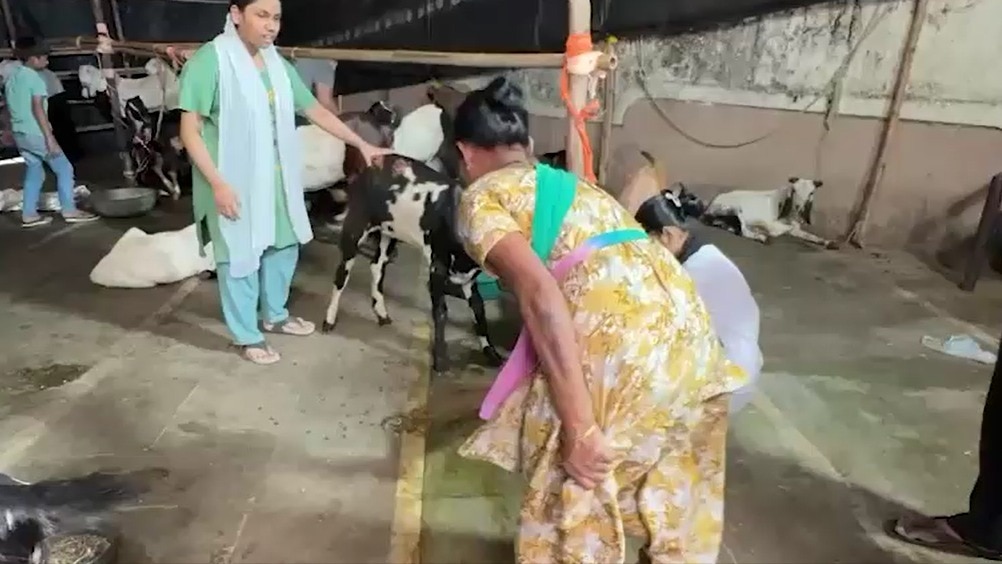After Thane scuffle, BMC withdraws permission for Bakrid in 2 Mumbai ...