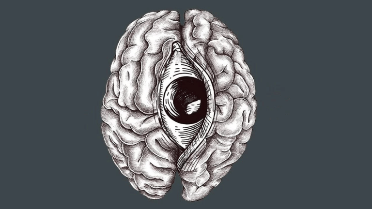 The 'third eye' exists. It's hidden in the brain, say Sussex scientists