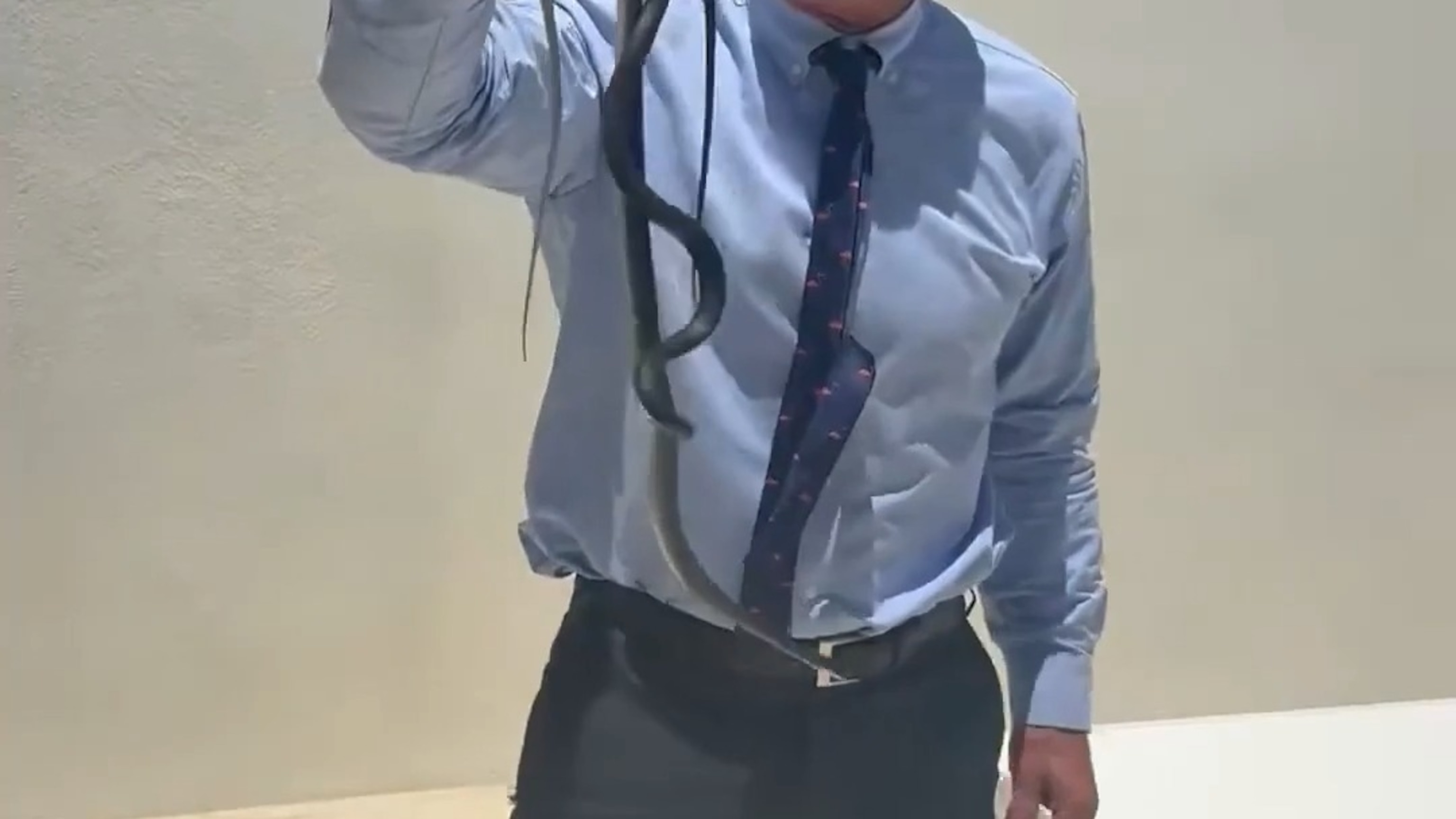 RFK Jr. captures snakes in viral video