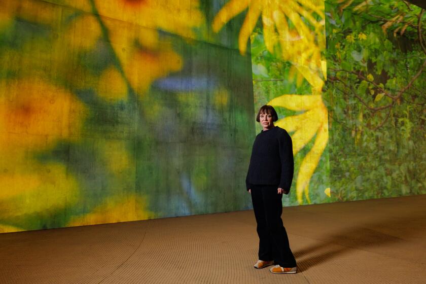 'The future of art': A first look at the video installation that'll ...