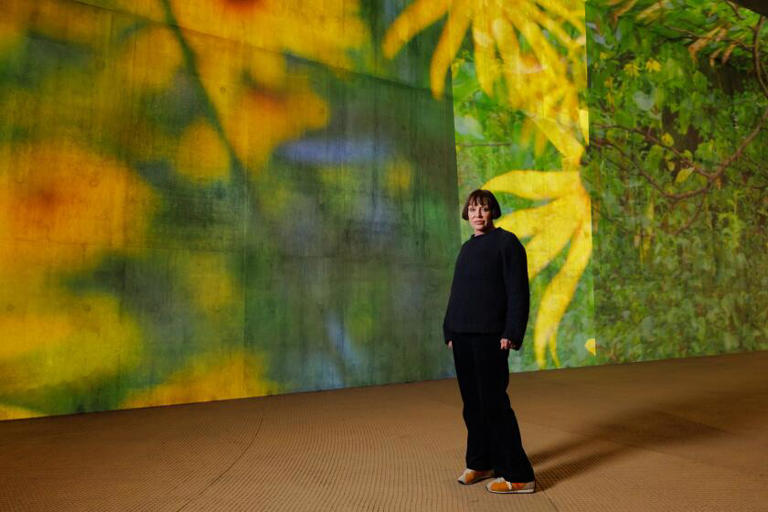 'The future of art': A first look at the video installation that'll ...
