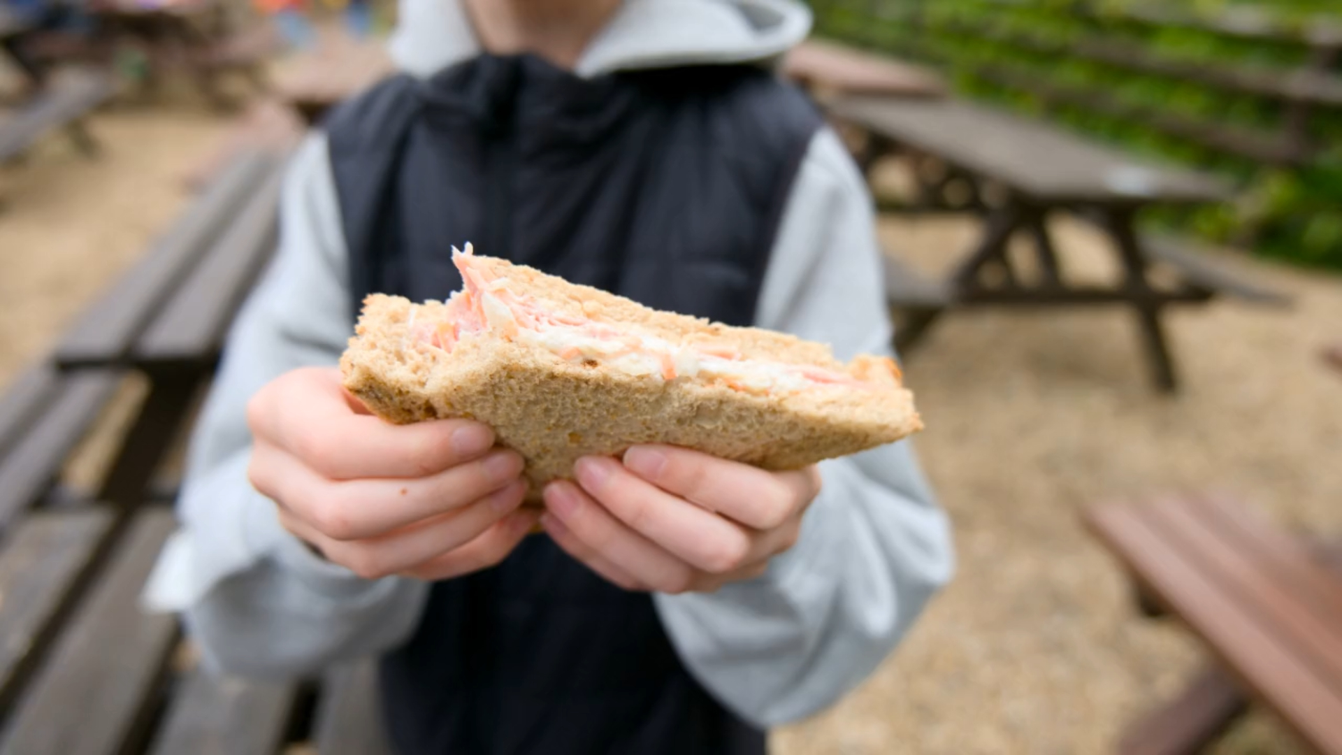 12 school lunch rules parents need to understand