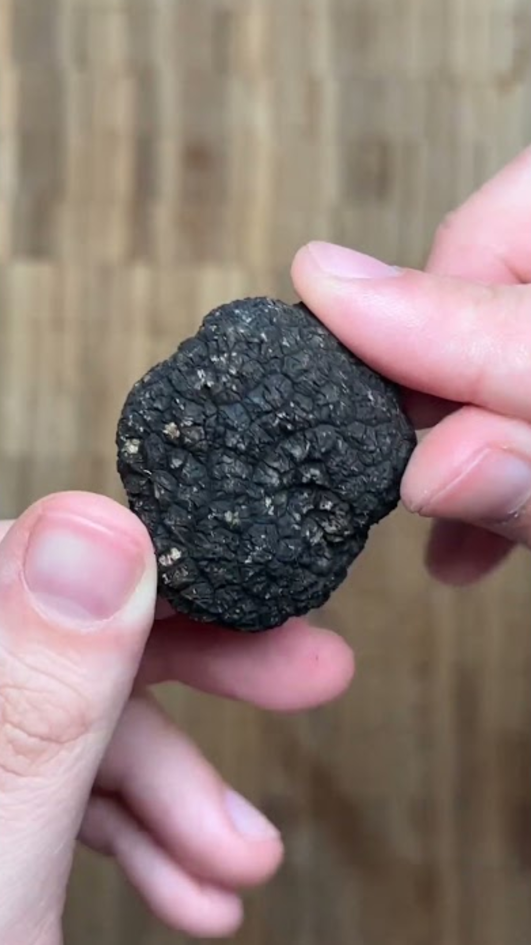 Passport for magical truffles | Strange travel experience revealed