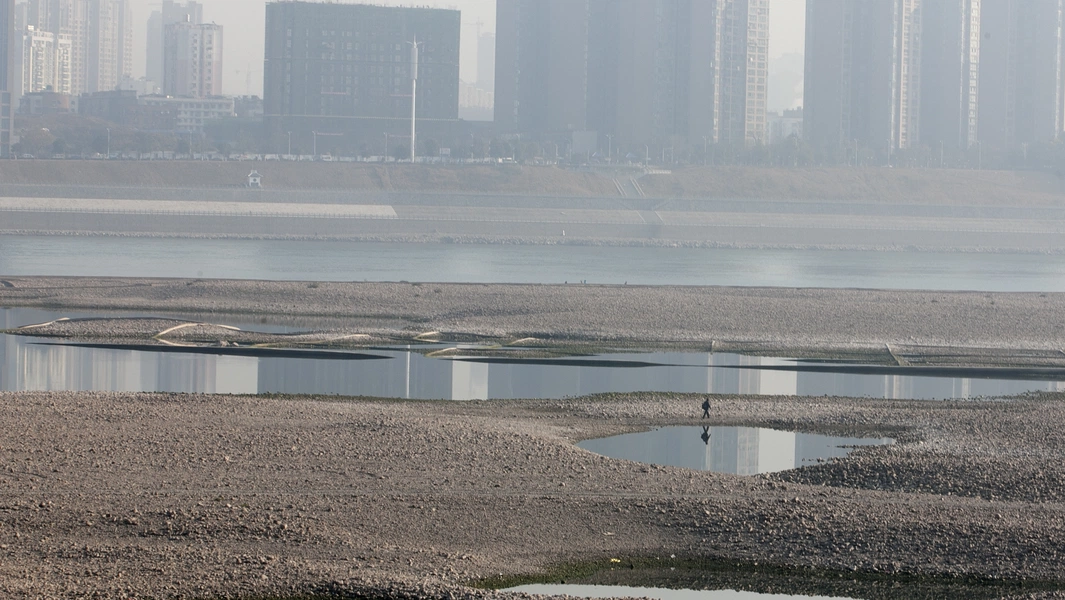 Freshwater jellyfish spreads quietly as public awareness lags