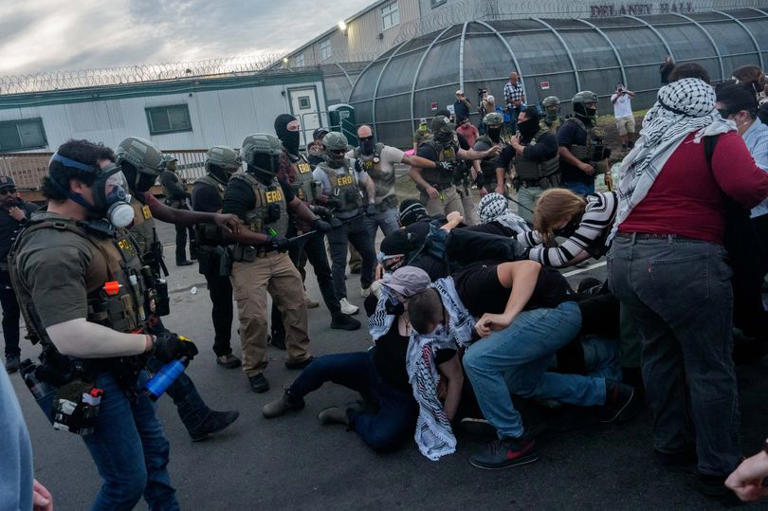 Fox News viewers slam 'inhumane administration' as Tom Homan makes ...