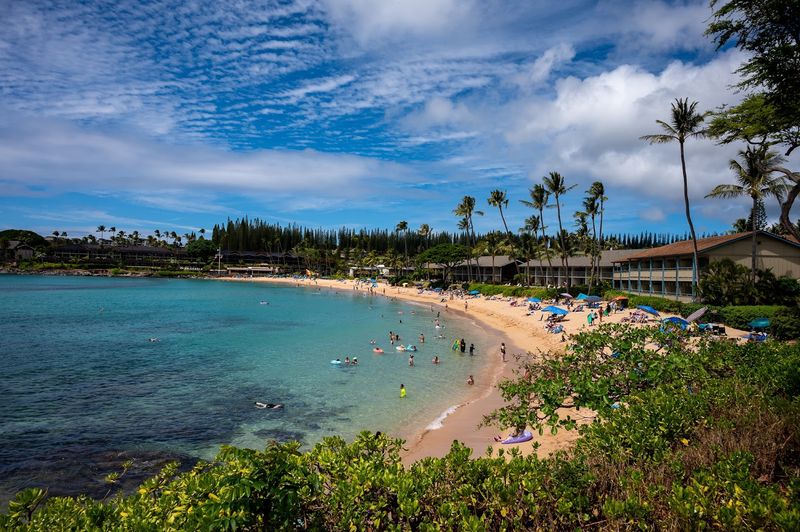 15 Maui beaches worth visiting, from black sand shores to surf breaks