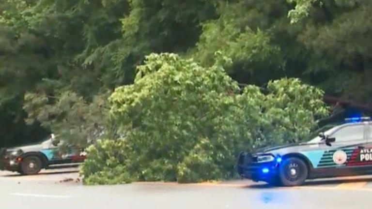 Downed trees block roads in Buckhead, northwest Atlanta, impacting ...
