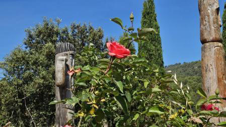 Las rosas rojas de los moais del Bages