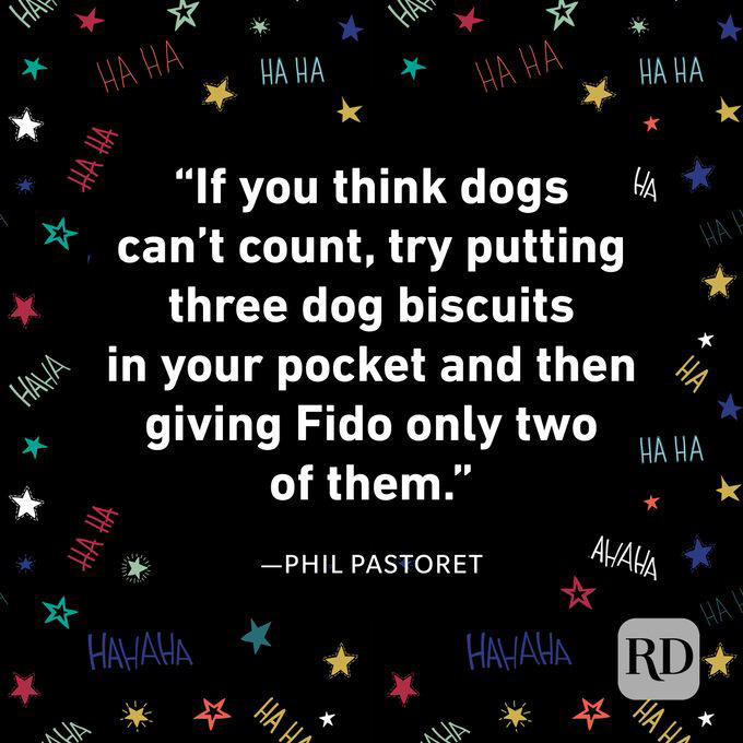 100 funny quotes and hilarious sayings to make you laugh out loud