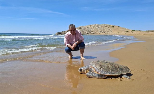 La primera tortuga boba atendida este año en el Centro de Recuperación ...