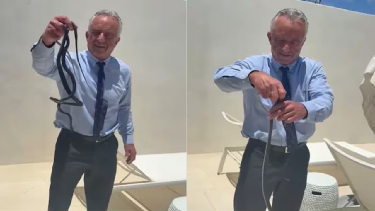 RFK Jr bitten by snake during viral wildlife encounter video, internet ...