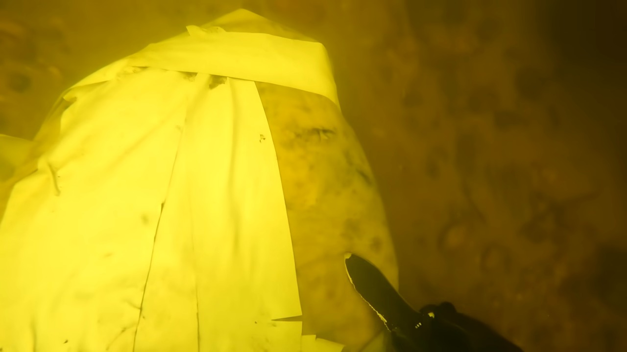 Divers found a duct-taped suitcase underwater - then said, “Hopefully ...