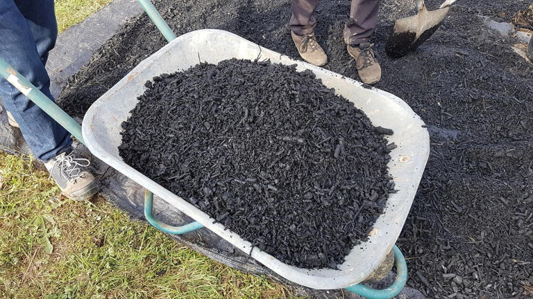 Prairie View A&M launches automated biochar facility to improve soil ...