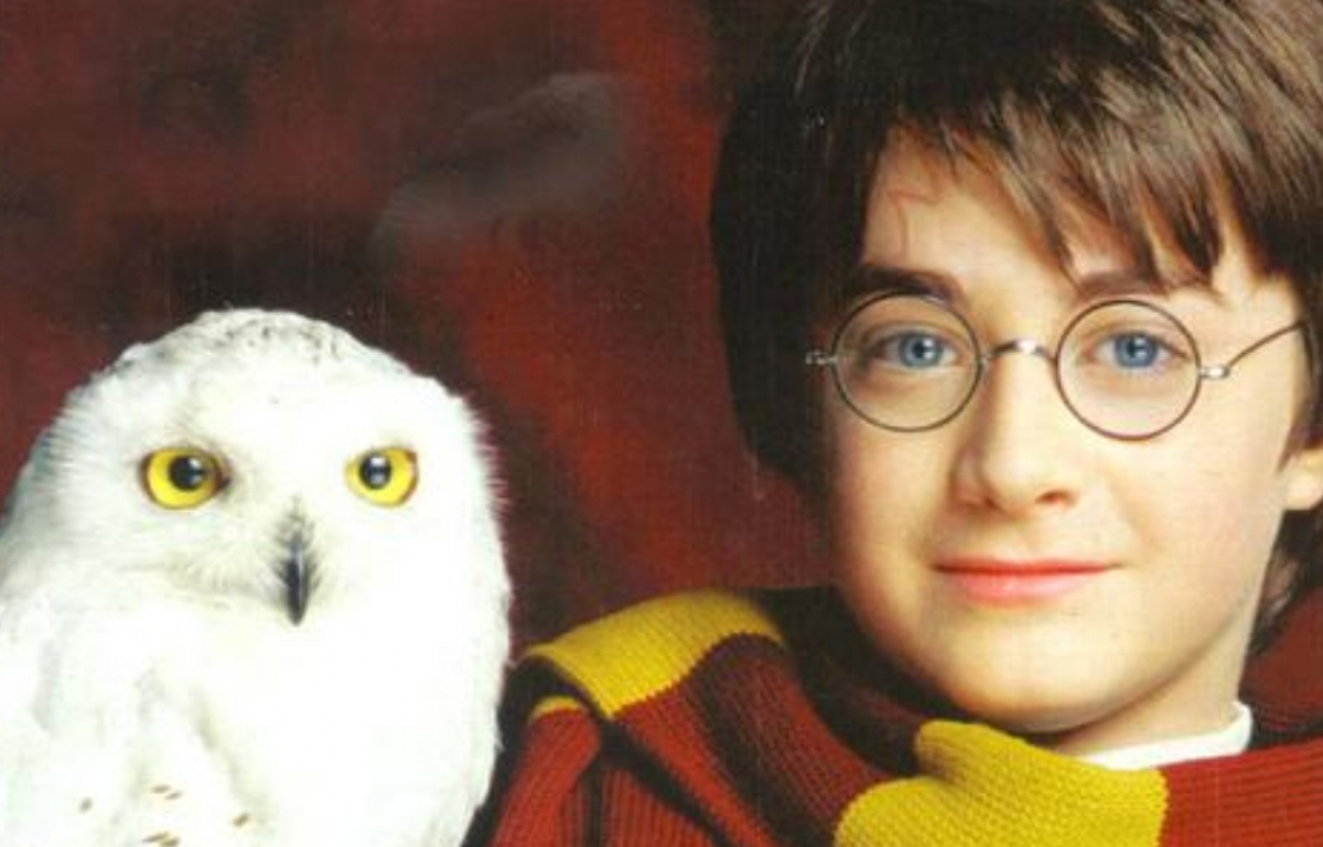25 movie and TV animals you’ll never forget