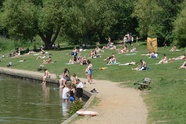 Crowds splash and let dogs swim in Hampstead Heath ponds during swan ...