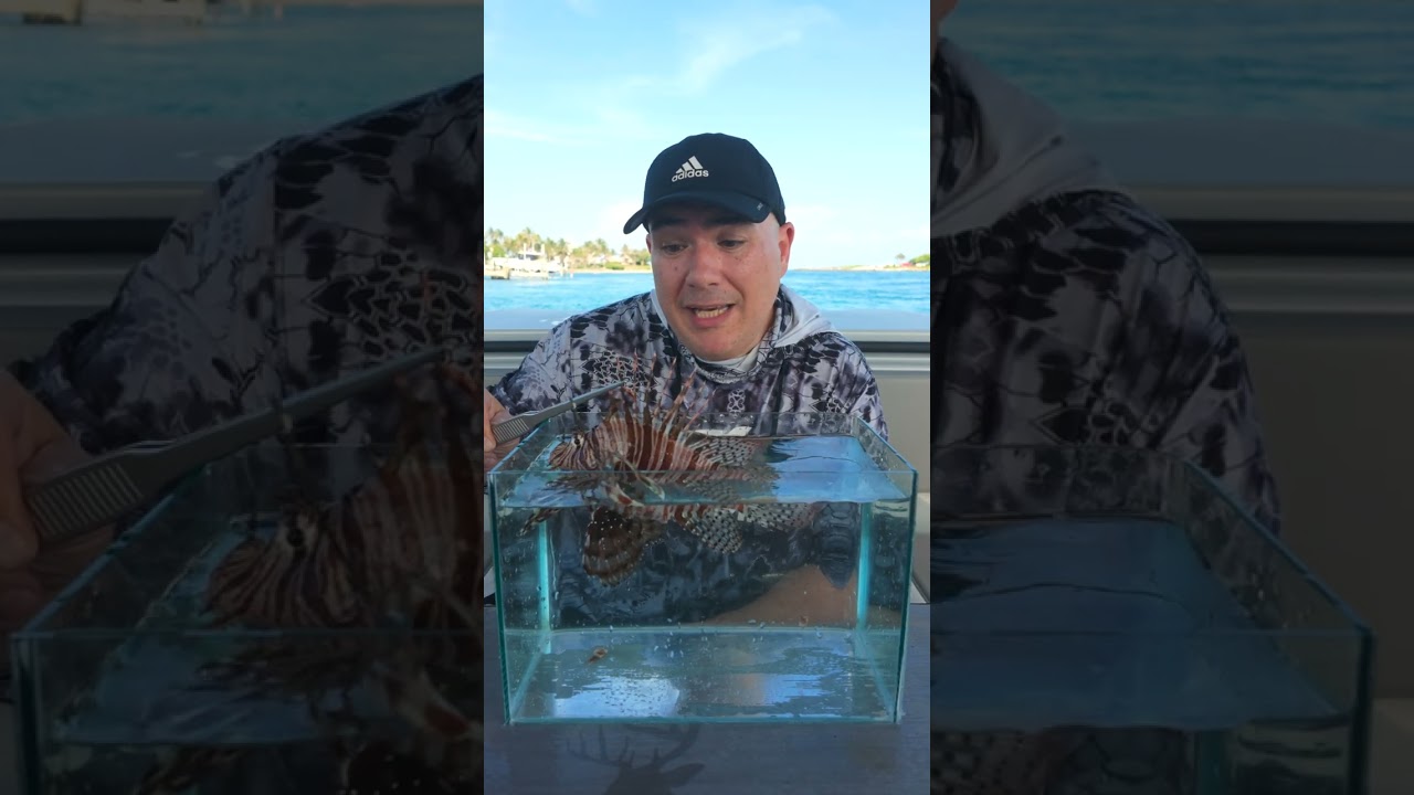 I tried cooking lionfish properly… now timing is everything