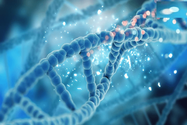 Bad cholesterol: The hassle of medicines will end; only gene therapy ...