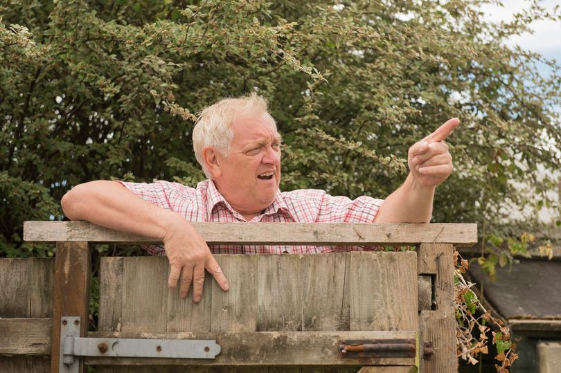 Simple way to find out which neighbour is responsible for garden fence ...