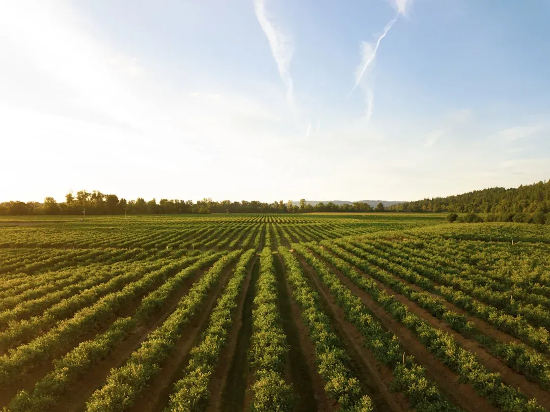 9 natural resources becoming more valuable as climate change worsens