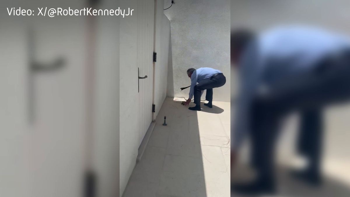 US-Minister hebt Schlange hoch – dann schnappt sie zu