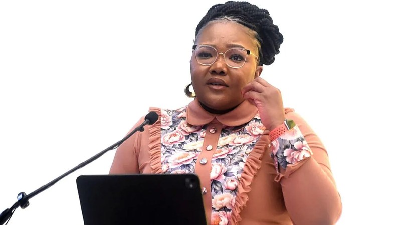 Law firm to start probe into dodgy R1.6 billion textbook tender