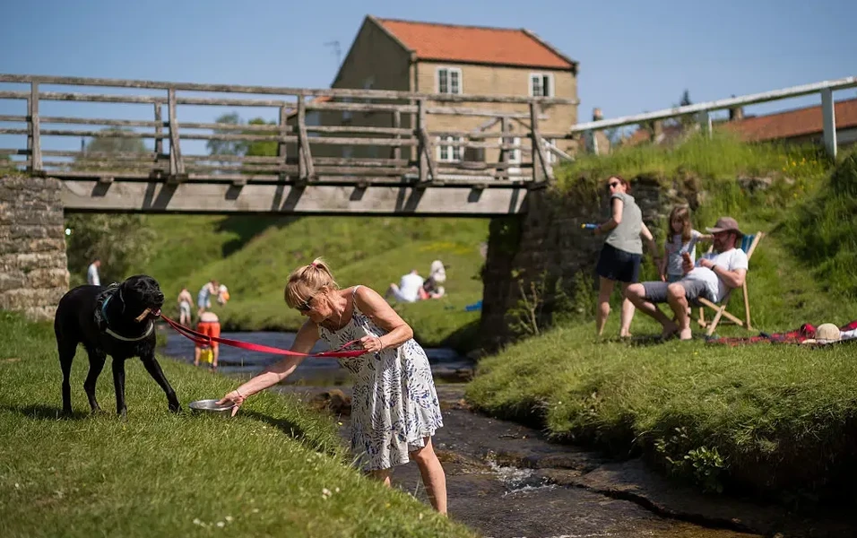 Experts warn UK dog owners of deadly bank holiday heat risks