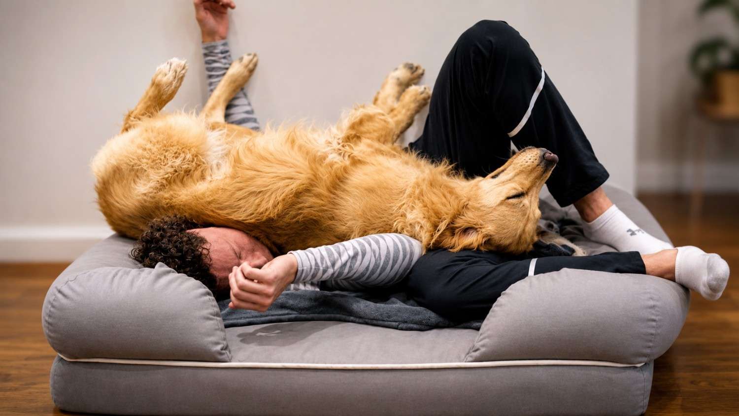 My dog was not sharing his bed