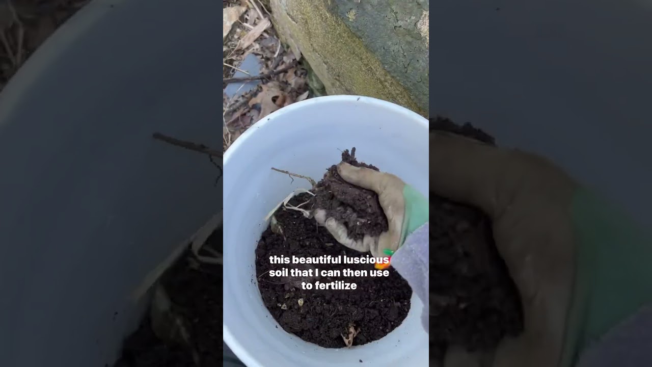 Turn food waste into nutrient-rich compost for your garden