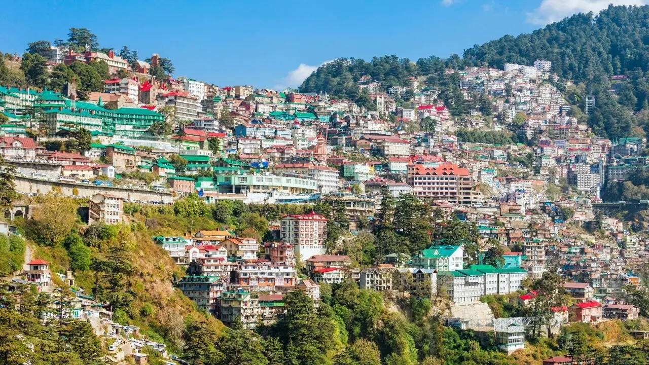 American traveller now settled in India shares some common things found ...