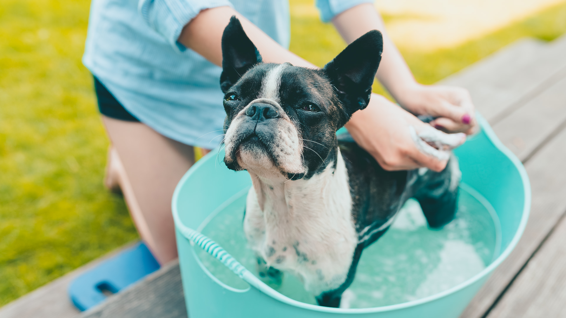 37 expensive services you can DIY no problem