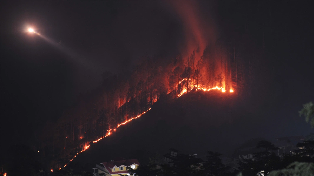 Army and IAF contain major Kasauli forest fire after 15-hour battle