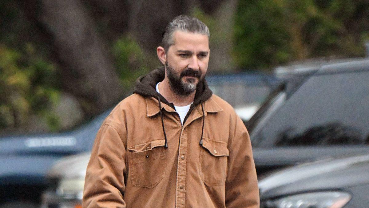 Shia LaBeouf's charges revealed months after Mardi Gras arrest as actor ...