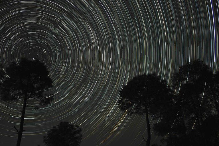 A celestial experience: Astro carnival in Jim Corbett