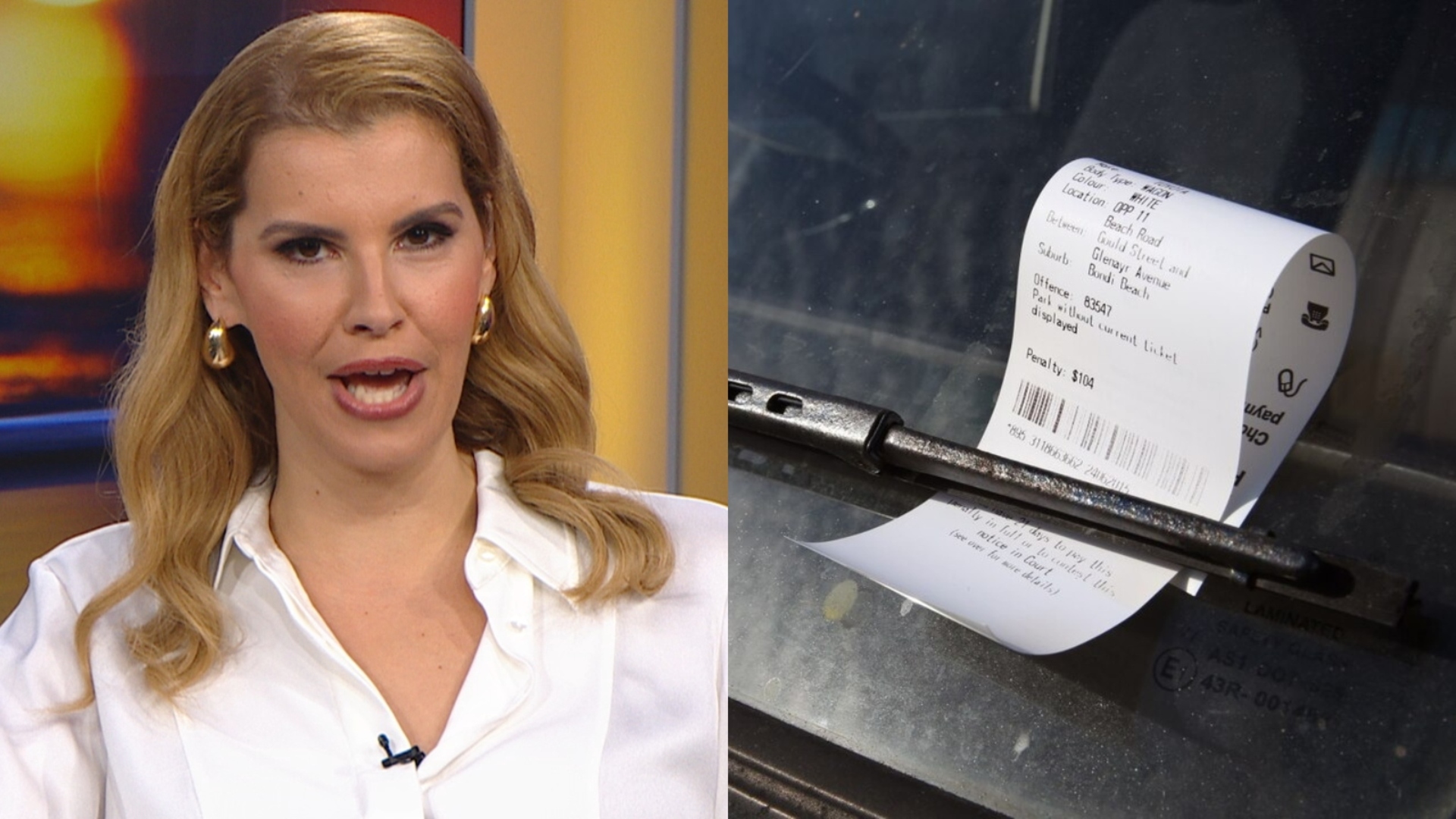 Danica De Giorgio blasts 'revenue raising' council over $140k-a-day ...