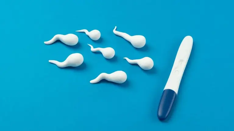 What is the IVF process for men? Expert explains