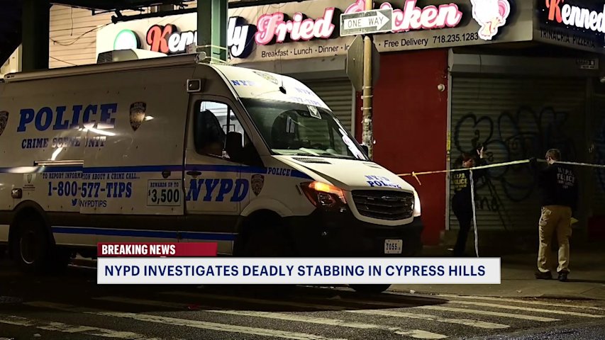 Man stabbed to death near Van Siclen Avenue subway station