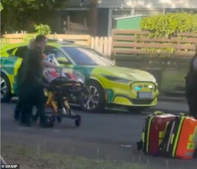 Boy, three, dies falling from second-storey flat window as woman is ...