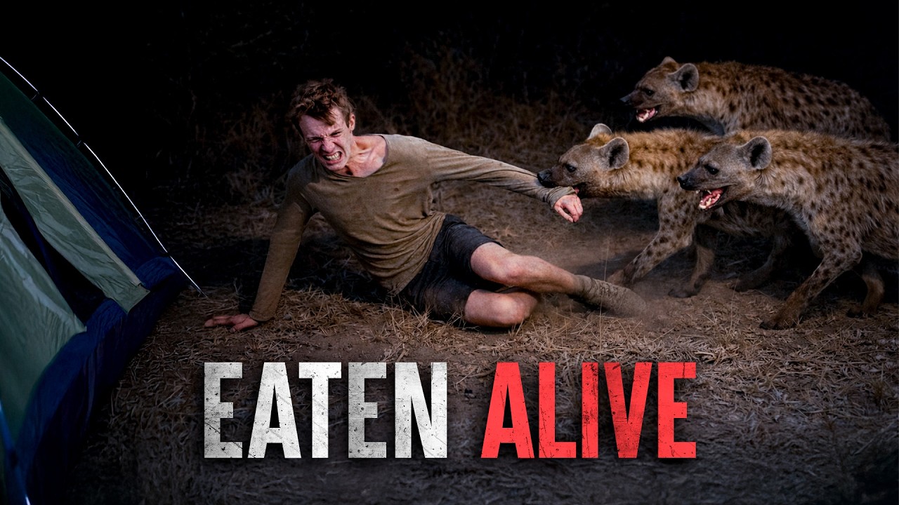 Learn the dark facts behind the deadliest hyena attacks in history