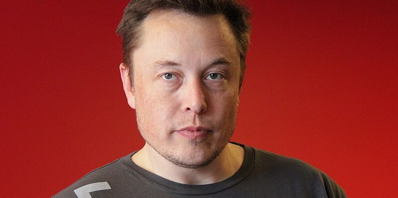Elon Musk’s daughter shares weird theory on what pushed him toward politics