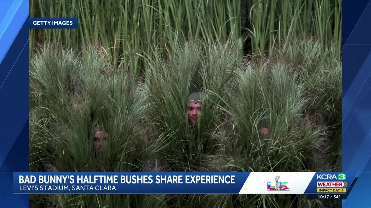 Sacramento State student on being a 'bush' in Bad Bunny's Super Bowl ...