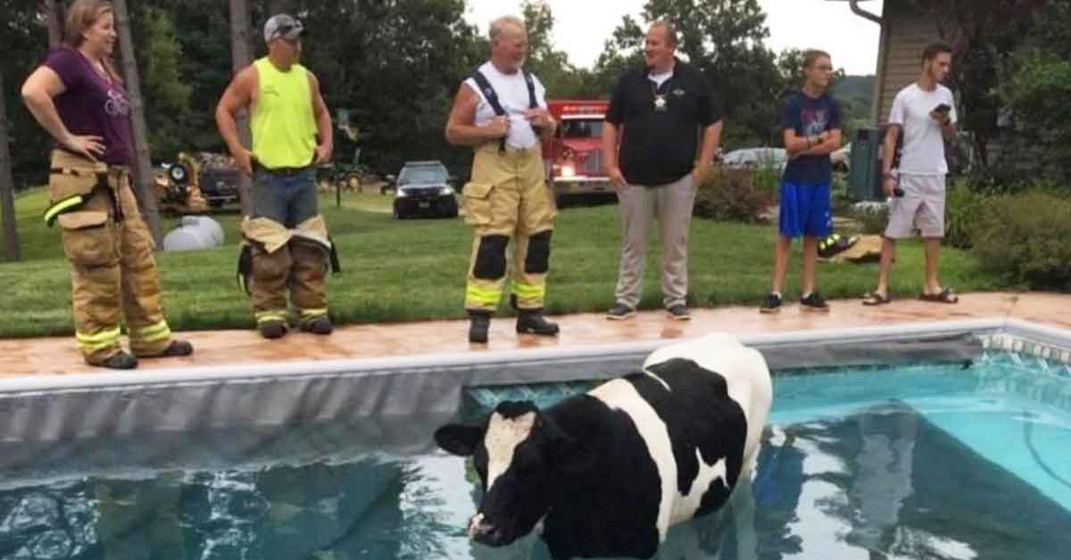 19 photos where no one can tell for sure what's happening