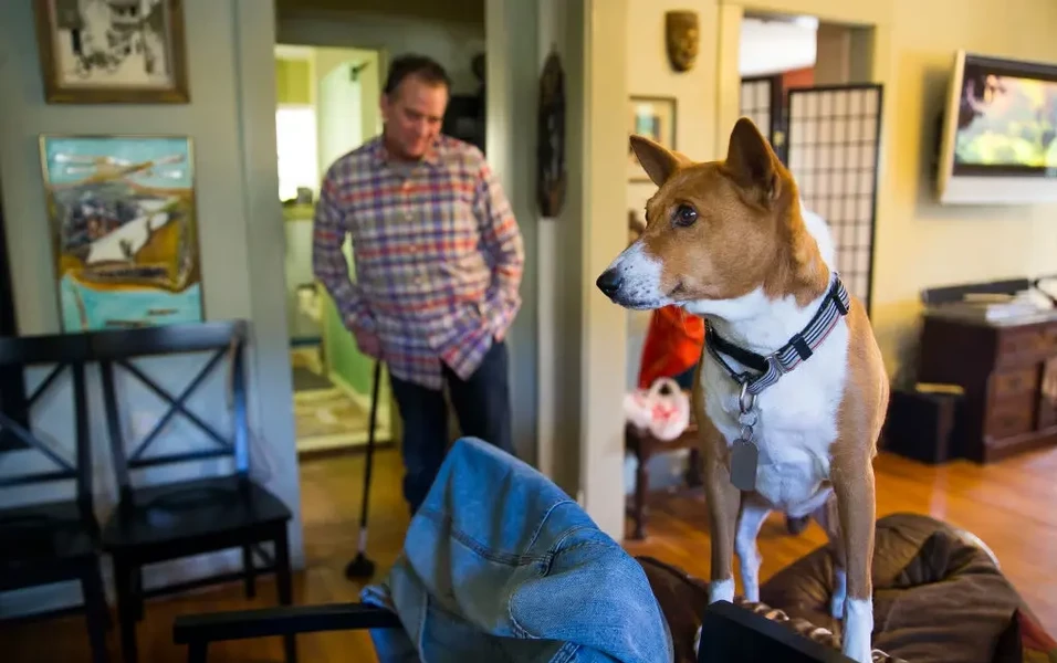 Living with your velcro dog every day