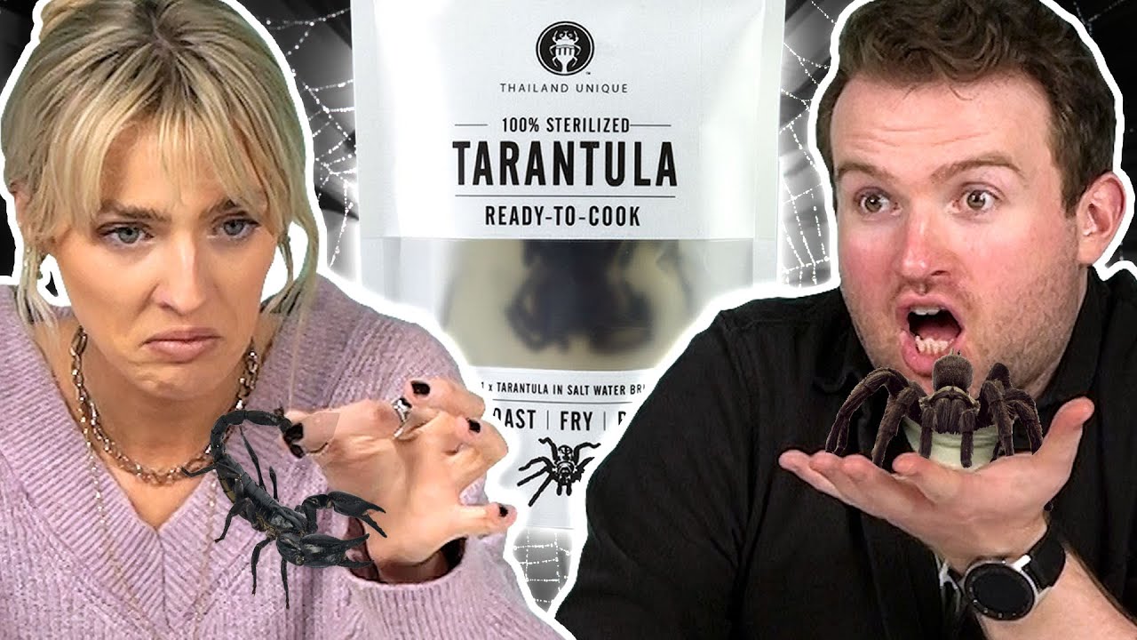 Irish people try edible insects featuring scorpion and tarantula