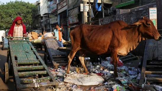 Amid demand to make cow national animal, a look at what Muslim members ...